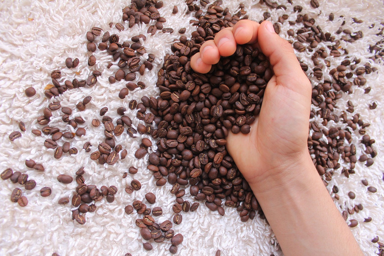 Cara Menggiling Biji Kopi Dengan Hasil yang Sempurna - butikkita.com